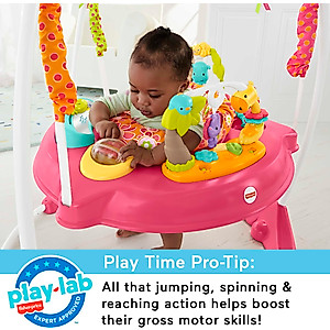 Fisher-Price Baby Bouncer Pink Petals Jumperoo Activity Center with Music Lights Sounds and Developmental Toys