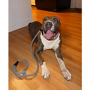 Mycicy Heavy Duty Slip Lead Rope Leash for Large Dogs, 5/8" x 5Ft Soft Braided Leash, Adjustable Training Dog Leash (Blue)