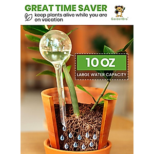 GARDENBRO 8 pc Plant Watering Globes Large Plastic - Automatic Plant Waterer Set Include Plant Accessories for Indoor and Outdoor Pots - Set of 8