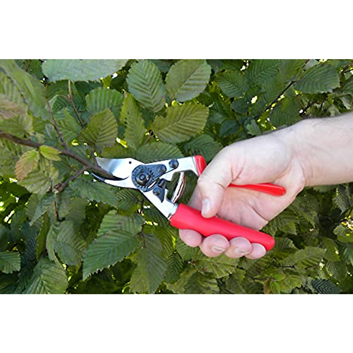 Felco Pruning Shears (F 12) - High Performance Swiss Made One-Hand Garden Pruner with Steel Blade