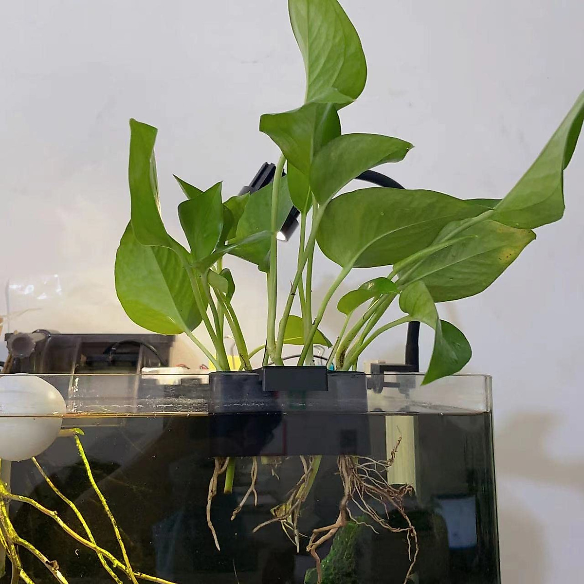 Upgrade Open Face Emerging Plant Holder, Aquarium Hanging Aquatic Plant Holder Fish Tank Decorations for Emersed Plants,Fish Tank Living Fish Shrimp (Rimmed)