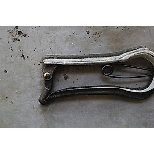 Skyhaven Harvest Bypass Pruning Shears 8 Inch Japanese-style Forged Carbon Steel Garden Scissors, Gardening Tools Hand Pruner with Ergonomic Handle.