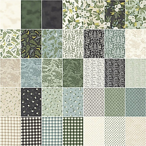 Happiness Blooms AB Bundle by Deb Strain, 35 18-inch by 22-inch Precut Fabric Fat Quarters and one 24"x44" Panel