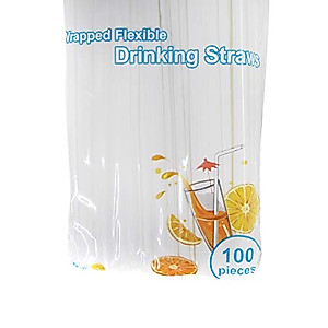 Treasure Gurus 300 Individually Wrapped Flexible Plastic Disposable Bendy Drinking Straws Party Supply