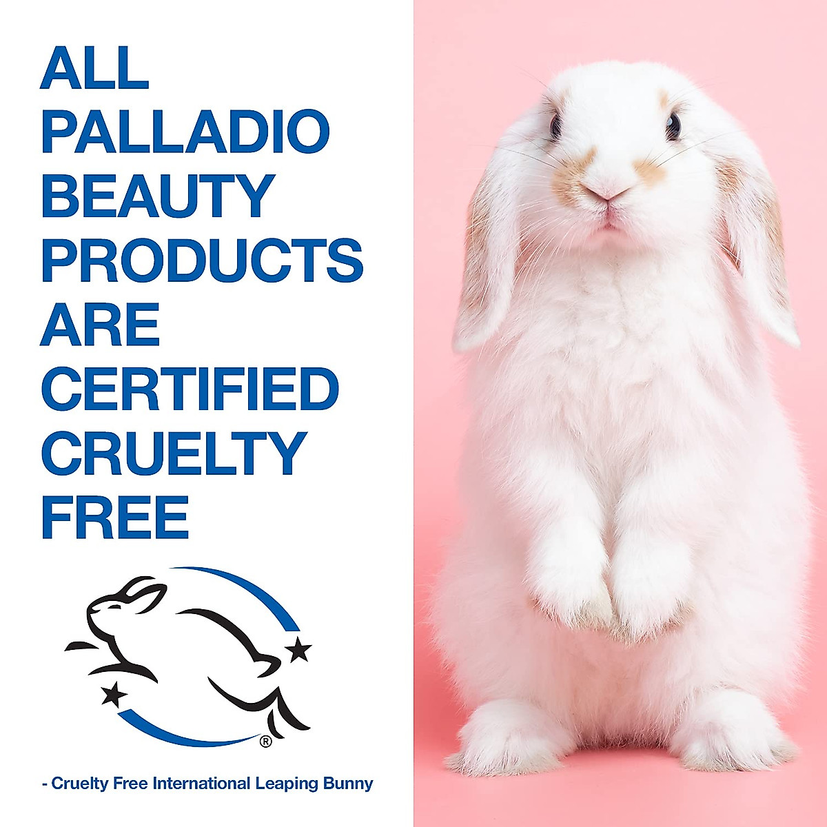 Palladio Brow Powder for Eyebrows, Soft and Natural Eyebrow Powder with Jojoba Oil & Shea Butter, Helps Enhance & Define Brows, Compact Size for Purse or Travel, Includes Applicator Brush, Taupe