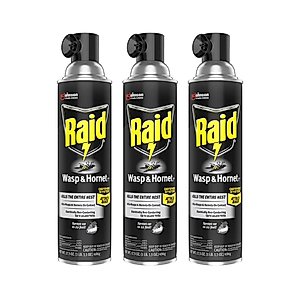 Raid Wasp and Hornet Killer, 17.5 OZ (Pack of 3)