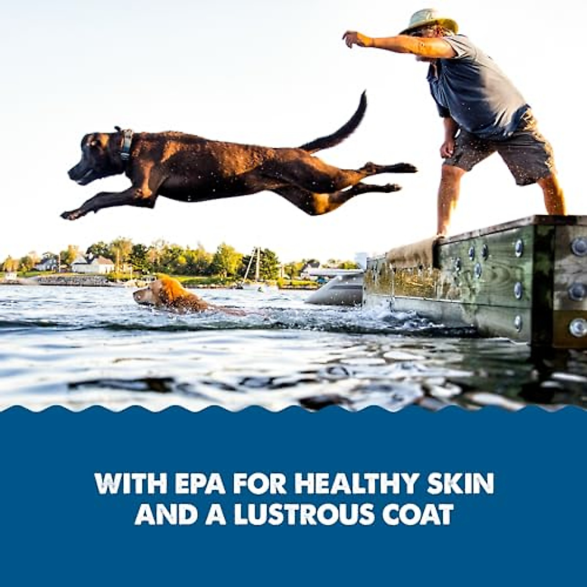 Grizzly Pollock Oil Supplement for Dogs, 32-Ounce