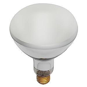 Satco 7007 Pool And Spa Bulb 500W 130V, Frosted