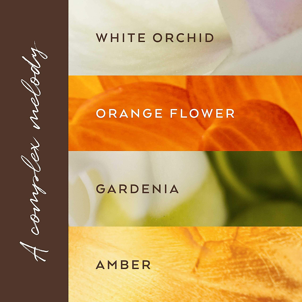 TOKYOMILK Song in D Minor Eau de Parfum, 1 fl. oz, 29.5 ml – White Orchid, Orange Flower, Gardenia & Amber – A Complex Melody, Women’s Perfume, Eau de Parfum Spray for Women