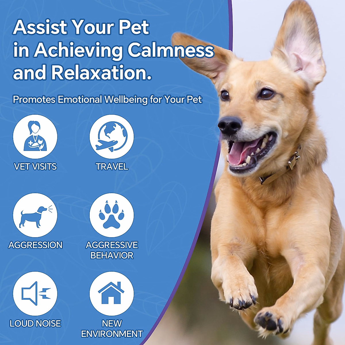 WEALLIN Hemp Oil for Dogs and Cats, Rich in Omega 3, 6, 9 and Organic Extract Helps Pets with Anxiety, Pain, Skin and Coat Health, Stress, Hip and Joint Support, Pet's Calming Treat (1 Pack)