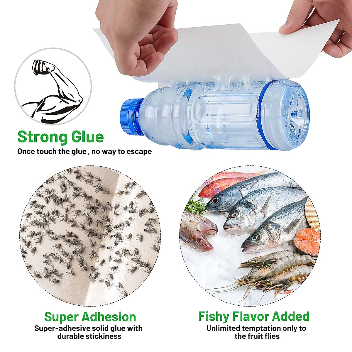 GreenV Fruit Fly Trap for Indoors 10Pack Fly Trap Indoor,Sticky Gnat Traps Fruit Fly Killer for Housefly,Mosquitoes, Spiders, Ants, Plants, White