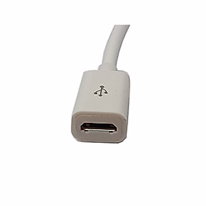 zdyCGTime 4 Inch Cellphone/Tablet USB Micro Male to Female Sync & Charging Extension Cable(2 Pack White)