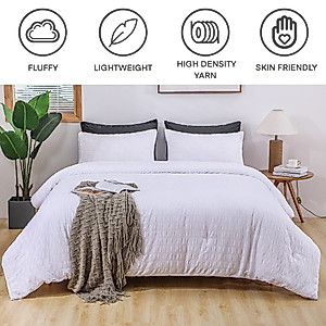 AveLom Seersucker Queen Comforter Set (90x90 inches), 3 Pieces - 100% Soft Washed Microfiber Lightweight Comforter with 2 Pillowcases, All Season Down Alternative Comforter Set for Bedding, White