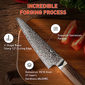 FUJUNI Steak Knives Set of 4 with In-Drawer Knife Block, 5 inch Damascus Steak Knife Set VG-10 Damascus Super Steel 67-Layer Non Serrated Steak Knives with Natural Wood Handle, Gift Box