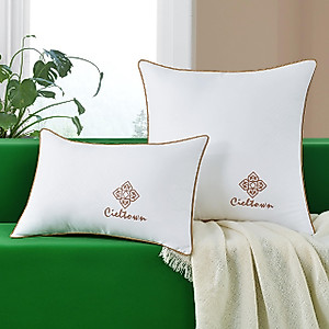 Cieltown Throw Pillows for Couch 12x20 Pillow Inserts Set of 2 White Euro Square Decorative Pillows for Bed Sofa Living Room Cojines Decorativos para Sala Cama (Champagne, 12 x 20 Inch Pack of 2)
