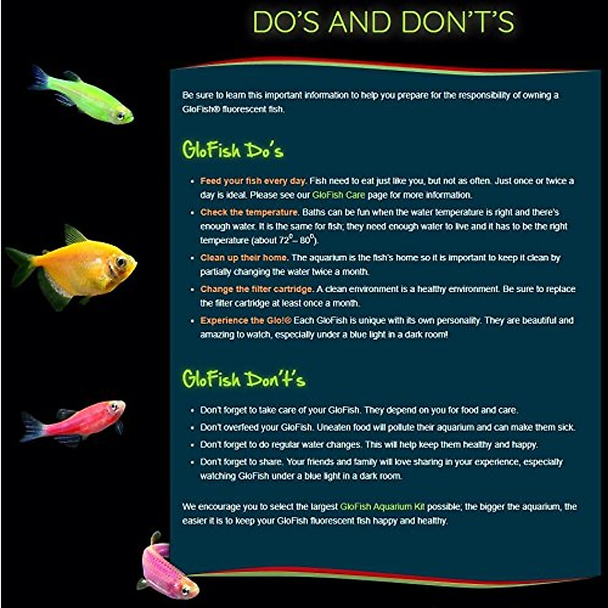 GloFish 77372 Plant for Aquarium Decoration, Fluorescent Green,Large