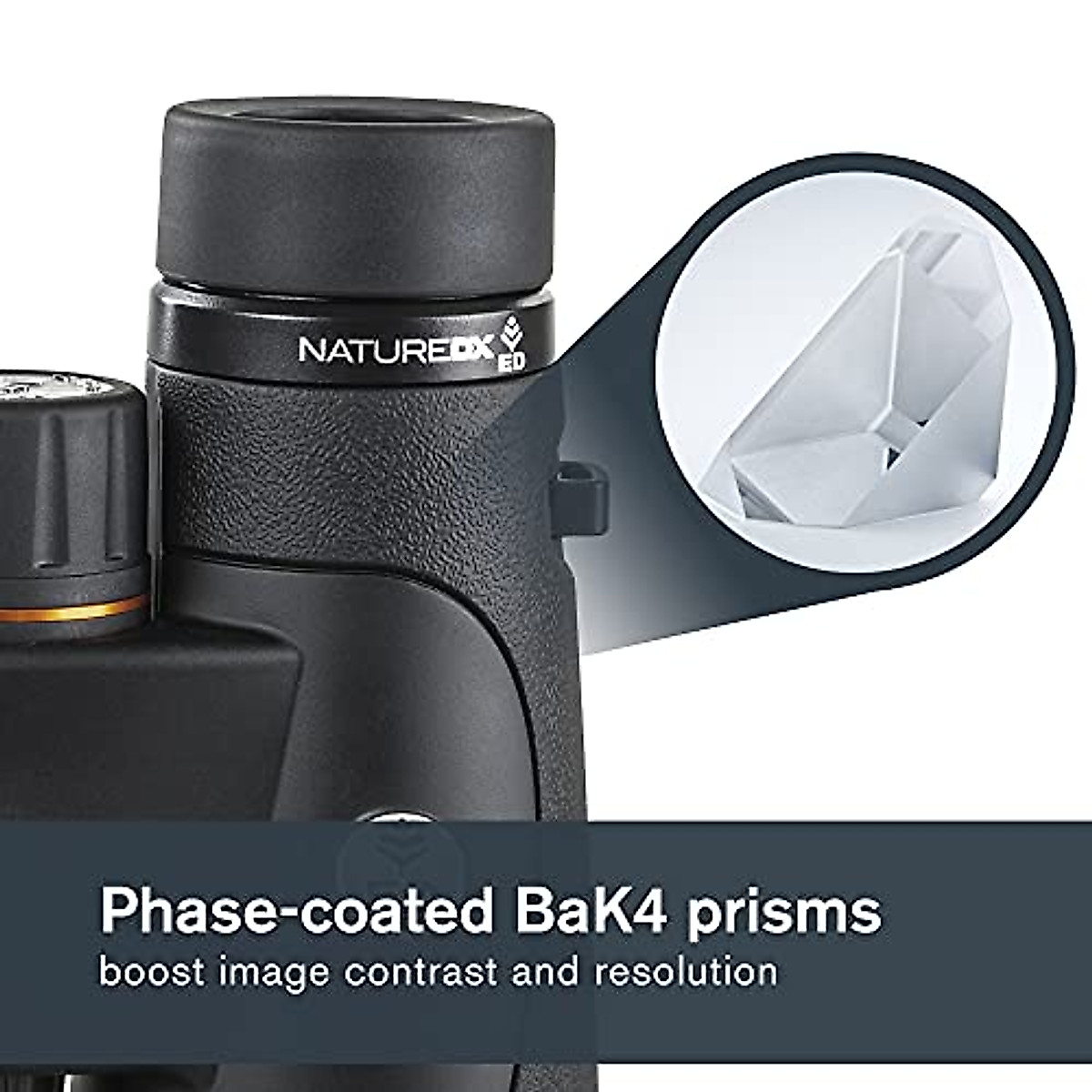 Celestron–Nature DX ED 12x50 Premium Binoculars – Extra-Low Dispersion Objective Lenses–Outdoor and Birding Binocular–Fully Multi-coated with BaK-4 Prisms–Rubber Armored–Fog & Waterproof Binoculars