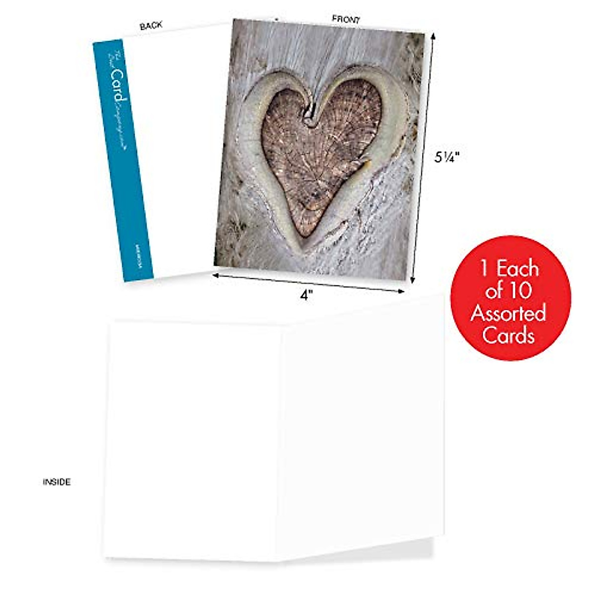 The Best Card Company - 10 Blank Heart Note Cards Boxed (4 x 5.12 Inch) - All Occasion Heartfelt Love Card Assortment - Heartscapes AM6838OCB-B1x10
