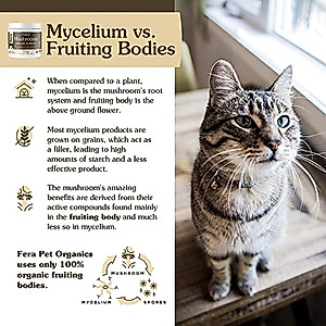 FERA PET ORGANICS Allergy and Immune Support Mushrooms Supplement Blend for Dogs and Cats - Cognitive Health, Vitality, and Immune Support Booster - 120 Servings, 60g