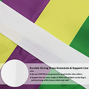 Probsin Mardi Gras Flag 3x5 Feet Decorations Double Printed New Orleans Holiday Masquerade Carnival Party Supplies Home Decor Hanging Purple Fleur De Lis Welcome Photo Backdrop with Brass Grommets