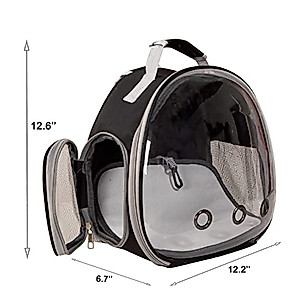 XZKING Guinea Pig Carrier Cage, Clear Breathable Small Animal Carrier for Bird Bunny Bearded Dragon Rat Hamster