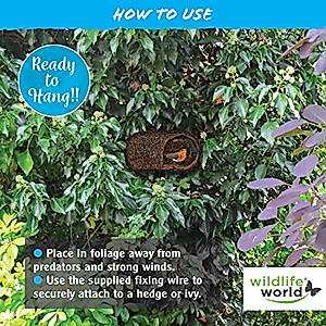 Wildlife World Simon King Secret Nester Bird Habitat Roosting Pocket
