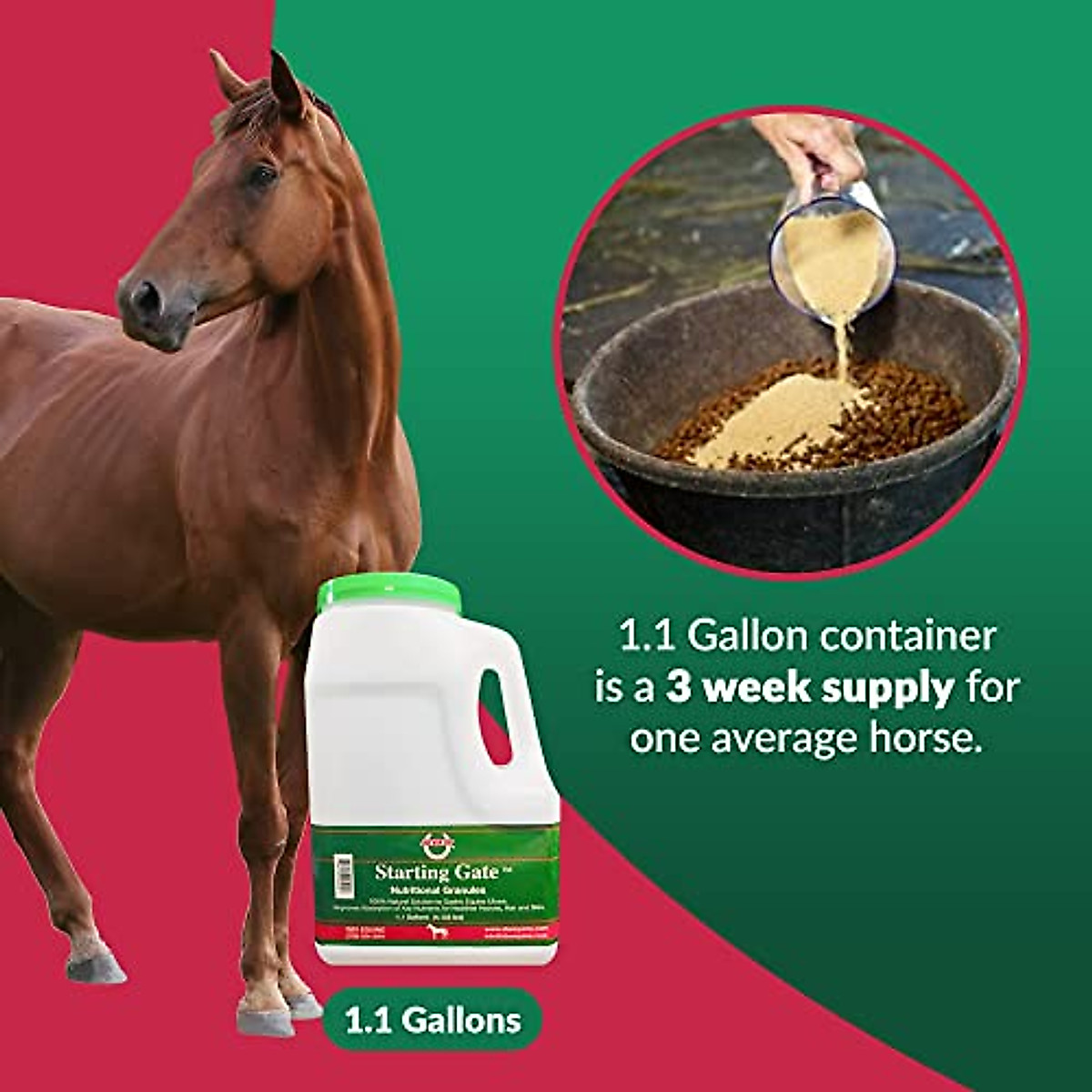 SBS Equine Starting Gate Granules for Horses | Horse calming Supplement that prevents & reverses gastric equine Ulcers | 1.1 Gallon | 3 Week Supply