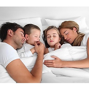 100% Egyptian Cotton Duvet Cover Queen Full Size 1000 Thread Count Long Staple Egyptian Cotton Quilt Cover, Silky Soft, Breathable with Hidden Zipper Closure 1 Piece Duvet Cover (Taupe)