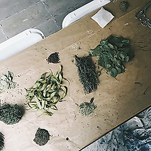 Common Good, Plant-Based with Pure Essential Oil Scents, Biodegradable Formula, No Parabens or Sulfates hand soap, 12 FZ, White, Fl Oz (Model: ED01HAND12B)