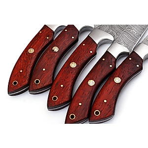 Handmade Damascus Steel Blade Kitchen Knife Set 5pcs Best Damascus Chef Knife Set Professional Kitchen Cooking Knives With Leather Case/Bag