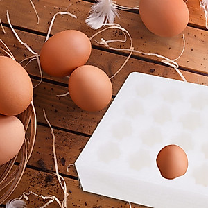 Garneck 2pcs pearl cotton egg tray egg flat cartons foam egg cartons egg protection case refrigerator containers Drop Resistant Egg Holder shockproof epe pearl cotton safety frame white