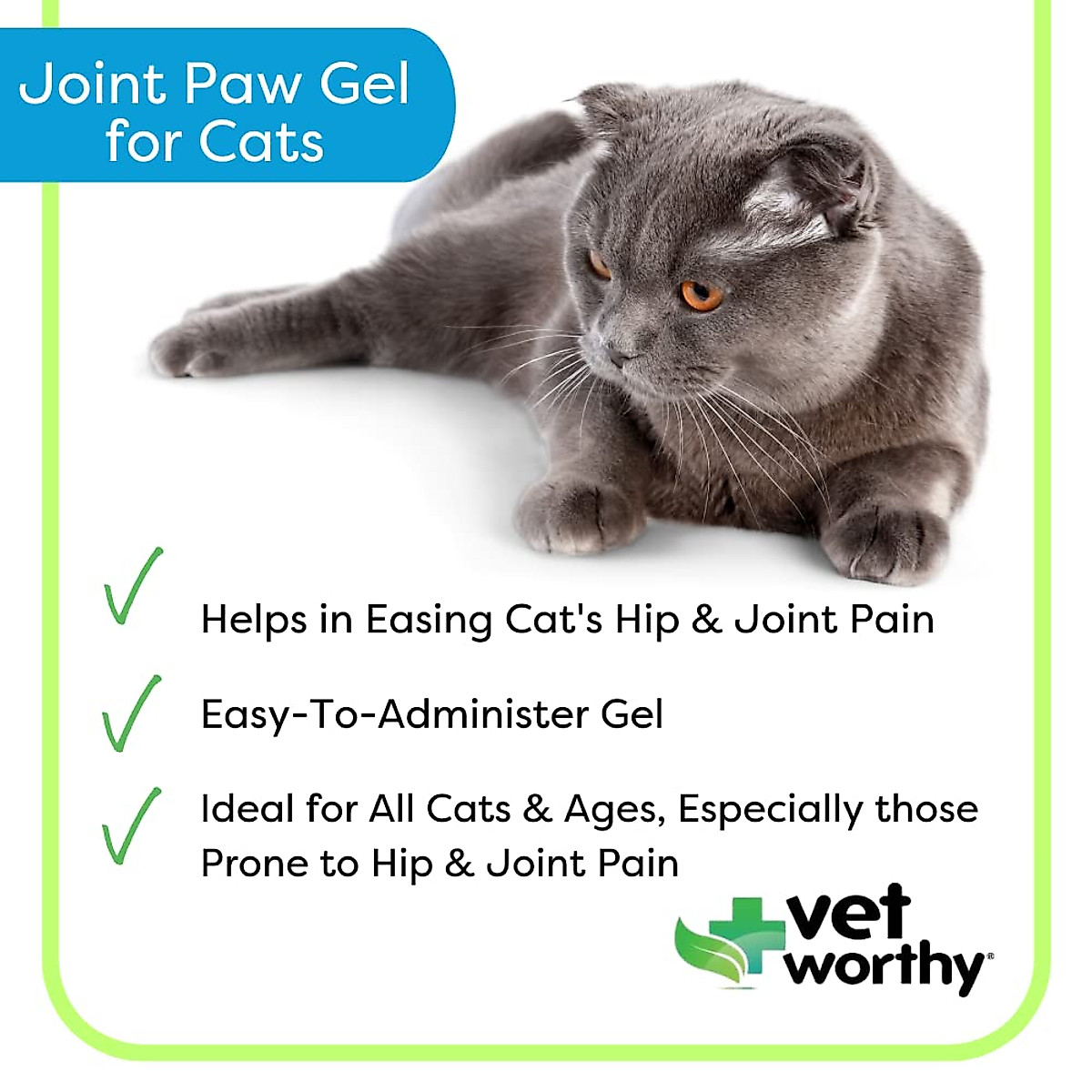 Vet Worthy Joint Paw Gel for Cats - 3oz - Glucosamine Chondroitin Joint Support Supplement -with MSM, Vitamin C, Yucca Schidigera, Sea Kelp - Salmon Flavor Cat Paw Gel - Daily Use