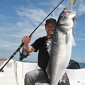 10 Pieces Mini Fishing Lures Fishing Hard Baits Hooks Crankbaits Fishing Lures Baits Topwater Lures for Freshwater Saltwater Trout Bass Perch Fishing Lures with Box (Locust and Fish Series)