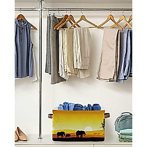 Storage Cubes Organizer with Handles, The Sunset Landscape of Elephant Giraffe Animal Storage Bins Fabric Collapsible Storage Baskets for Shelf Closet Nursery Cloth Organizers Box 2pcs-15x11x9.5in