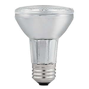 Philips 39W PAR20 Metal Halide Flood Bulb