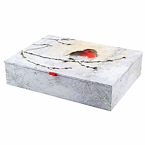 English Robin in Winter Deluxe Boxed Holiday Cards (Christmas Cards, Greeting Cards)