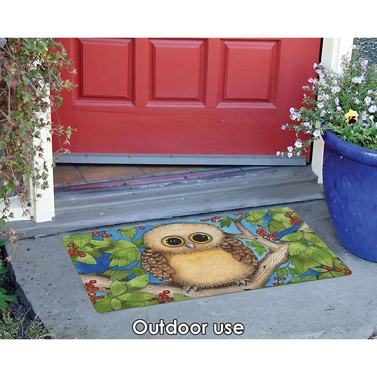 Toland Home Garden 800034 Hoot Hoot Fall Door Mat 18x30 Inch Owl Outdoor Doormat for Entryway Indoor Entrance