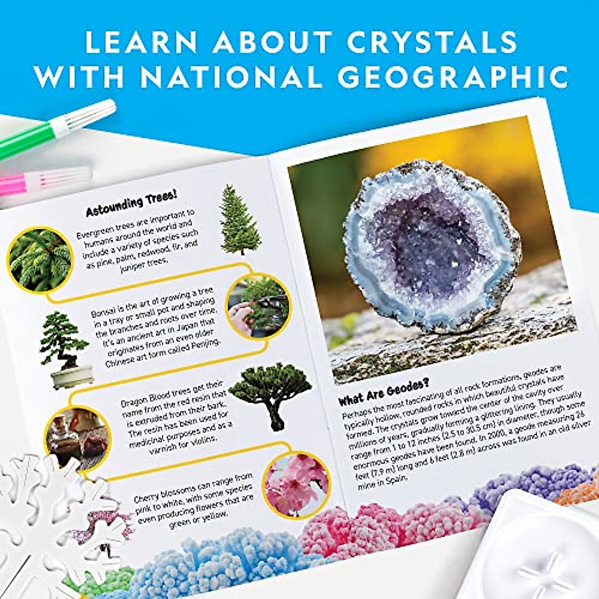 NATIONAL GEOGRAPHIC Craft Kits for Kids - Crystal Growing Kit, Grow 6 Crystal Trees in Just 6 Hours, Educational Craft Kit with Art Supplies, Geode Specimen, STEM Arts & Crafts Kit (Amazon Exclusive)