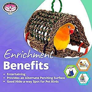 Super Bird Creations SB881 Seagrass Tent, Small/Medium Bird Size, 8” x 7” x 8”