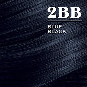 Clairol Nice'N Easy Hair Color Crème, 2BB Blue Black, Pack of 3 (Packaging May Vary)