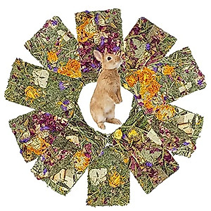 MUYG 10 Pcs Rabbit Chew Toys for Teeth,Chinchilla Natural Timothy Hay Chips Treats Guinea Pig Floral Scent Snacks Treats Dental Health Chewable for Hamsters,Rabbits,Bunny,Chinchillas