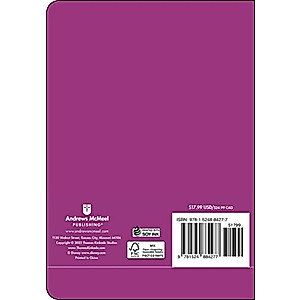 Disney Dreams Collection by Thomas Kinkade Studios 12-Month 2024 Monthly/Weekly: Maleficent