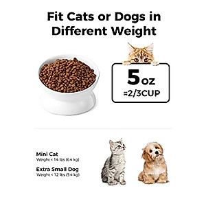 LoeJan Elevated Cat Food Bowl, 5 Oz Ceramic Raised and Tilted Water Bowl, Anti Vomiting and Protect Pets' Spines Dishes for Small Dog, Fat Faced Cat, Kitten (White, 1 Pack)