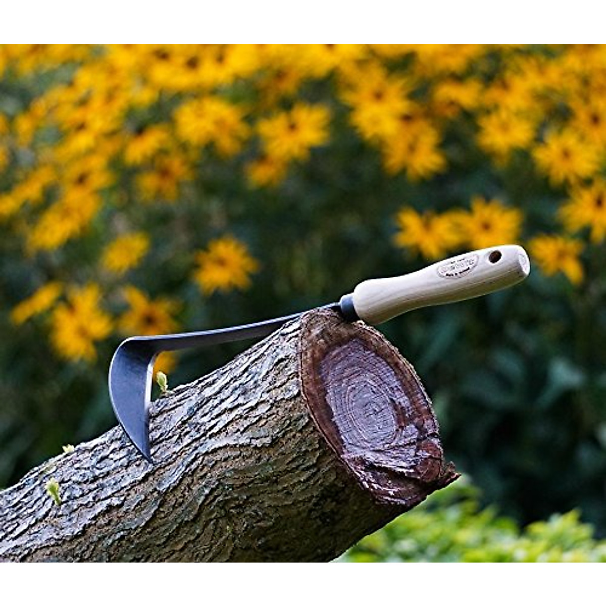 DeWit Right Hand Japanese Hand Hoe, Handheld Gardening Tool to Remove Grass, Weeds, and More
