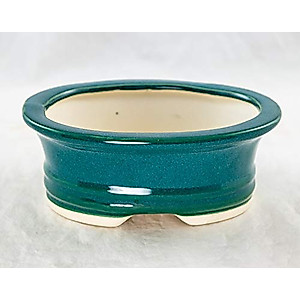 5.75" Oval Teal Green Shohin Bonsai/Succulent Pot + Tray + Rock + Mesh Combo