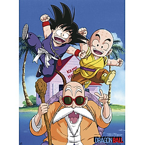 ABYstyle - Dragon Ball - Kame Team Poster (52x38)