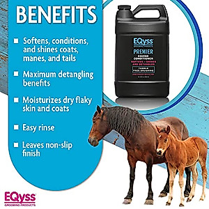 EQyss Premier Conditioner 128oz