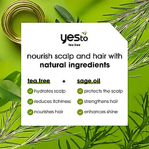 Yes To Tea Tree Shampoo with pH Balancing Formula, Nourishing Sage Oil, for Dry, Itchy Scalp Relief, Natural, Vegan & Cruelty Free, 12 Fl Oz