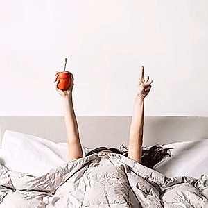 Taragüi Yerba Mate with Stems, 500 gr - 1.1 lbs (Red Pack)