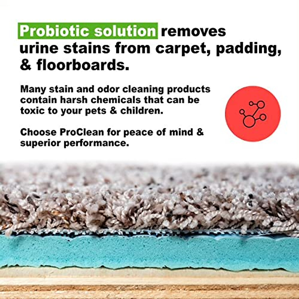 Urine Gone ProClean Stain and Odor Remover, Multi-Surface, Eliminates Tough Dog Cat People Stains, and Odor on Wood, Carpet, Vinyl, and Tile Floors, 20 Fl Oz